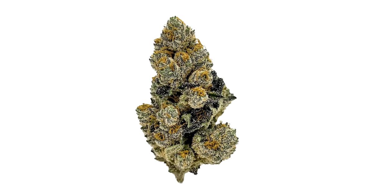 Gas Runtz Cannabis Strain Information - GrowDiaries