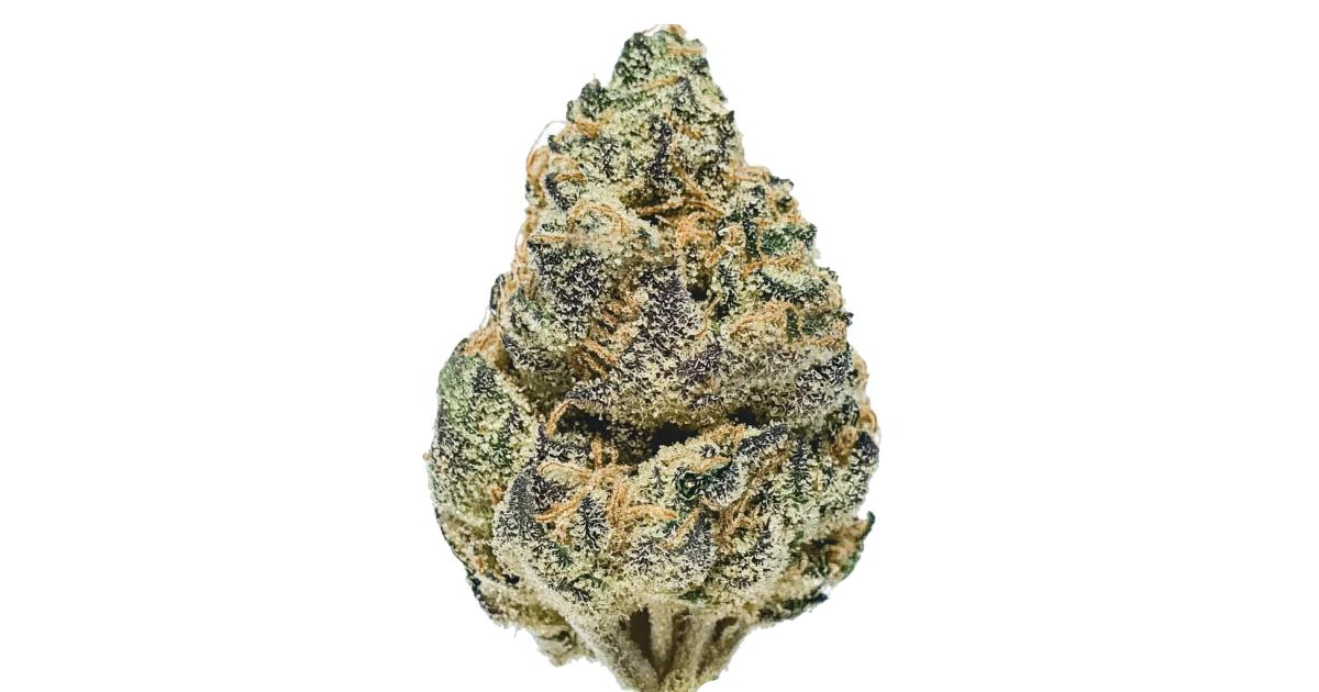 Lemon Venom Cannabis Strain Products - GrowDiaries