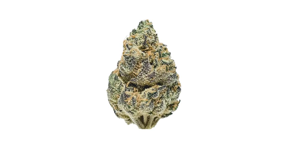 Lemon Venom Cannabis Strain Information - GrowDiaries
