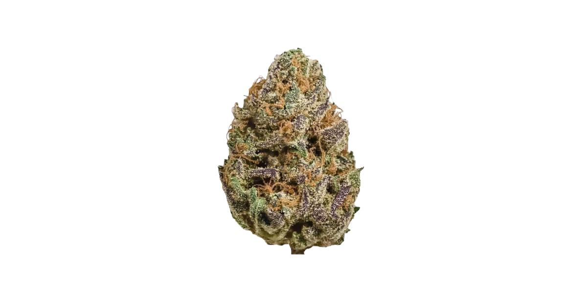 Purple Elephant Cannabis Strain Information - GrowDiaries