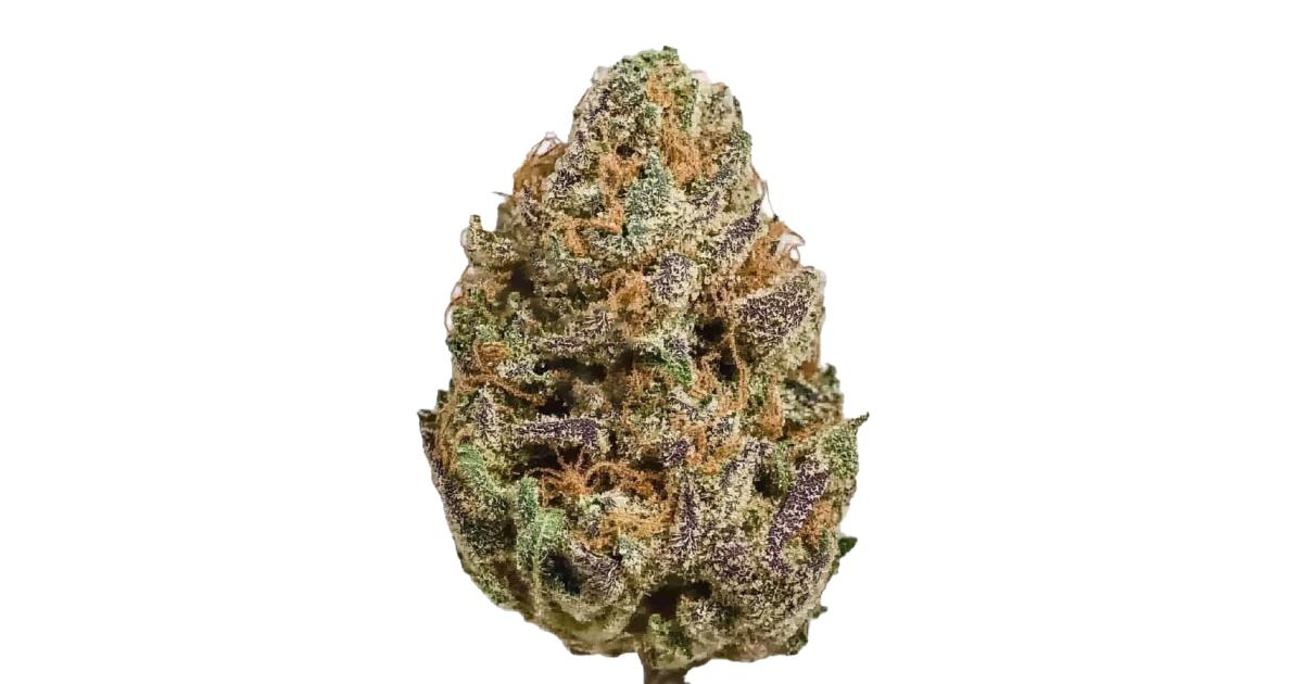 Purple Elephant Cannabis Strain Information - GrowDiaries