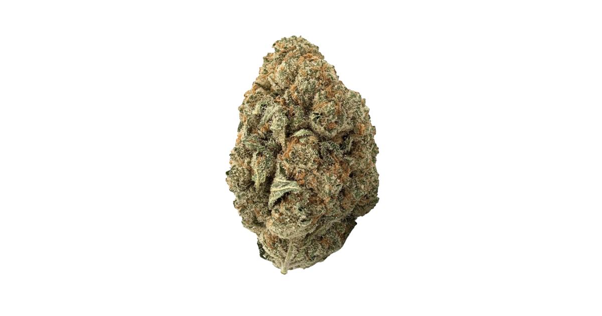 Silver Haze Cannabis Strain Information - GrowDiaries