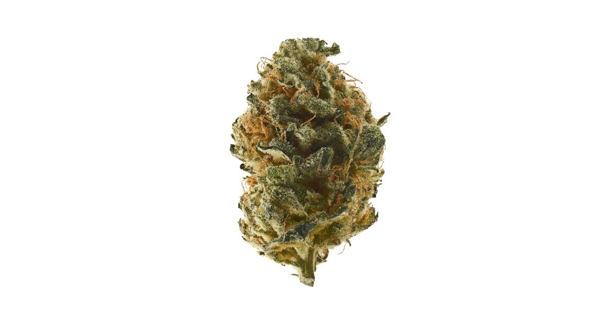 Tropical Storm Cannabis Strain Information - GrowDiaries