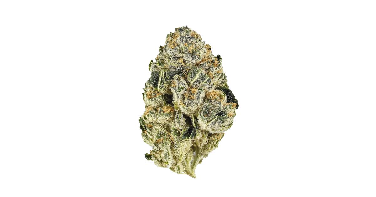 Headband Cannabis Strain Information - GrowDiaries