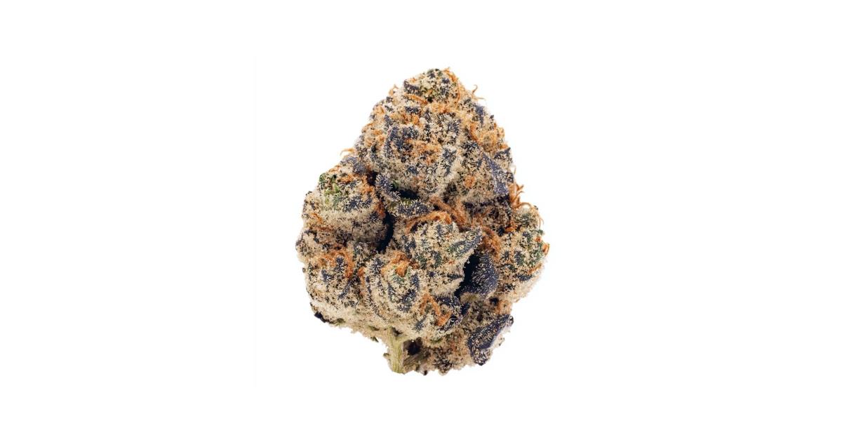 Hindu Kush Cannabis Strain Info - GrowDiaries