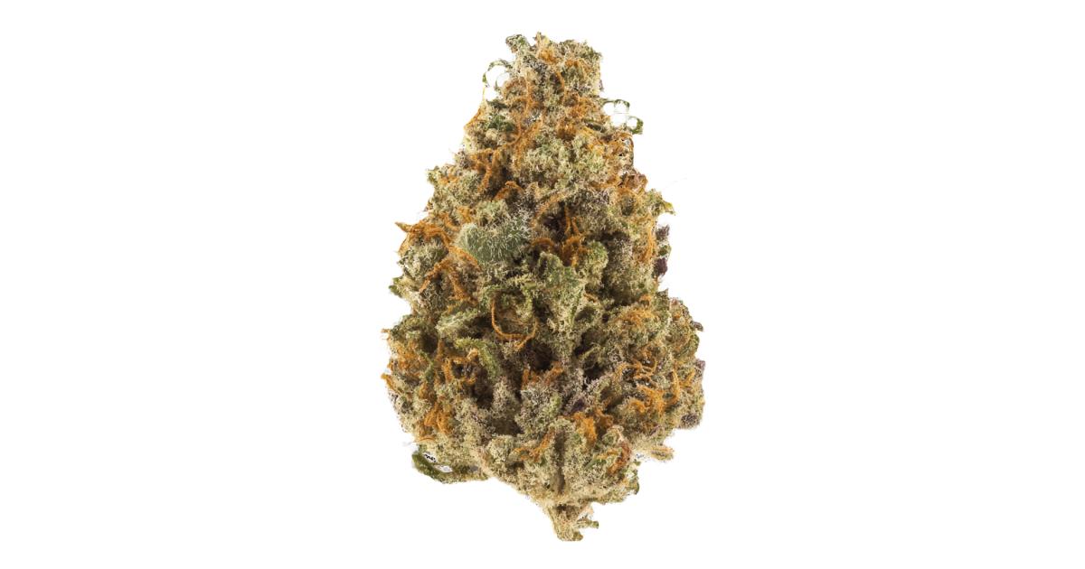 Peach Oz Cannabis Strain Information - GrowDiaries