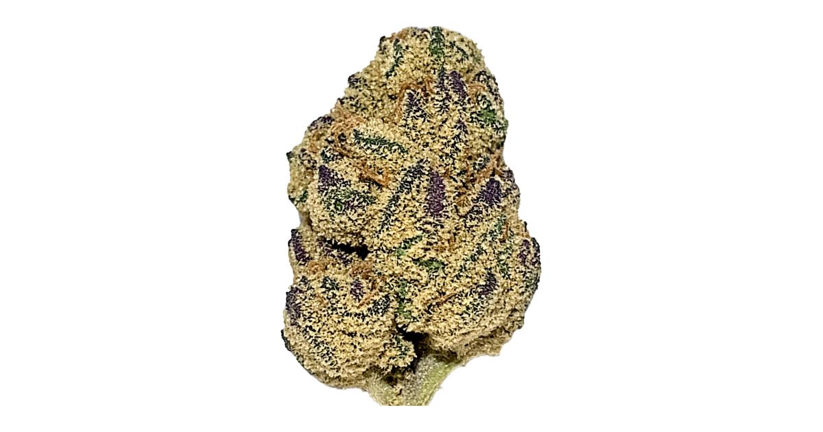 Cactus Cooler Cannabis Strain Information - GrowDiaries