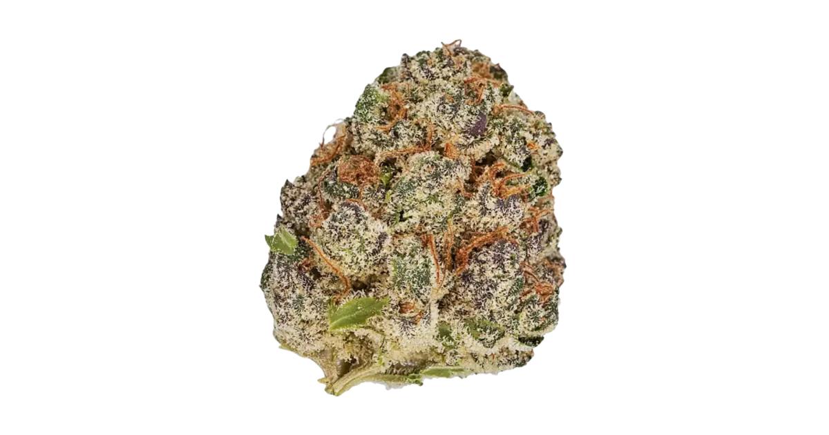 Purple Urkle Cannabis Strain Information - GrowDiaries