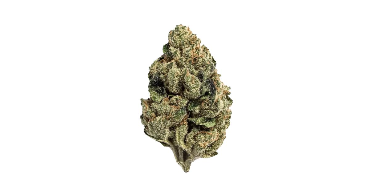 Truffle Cannabis Strain Information - GrowDiaries