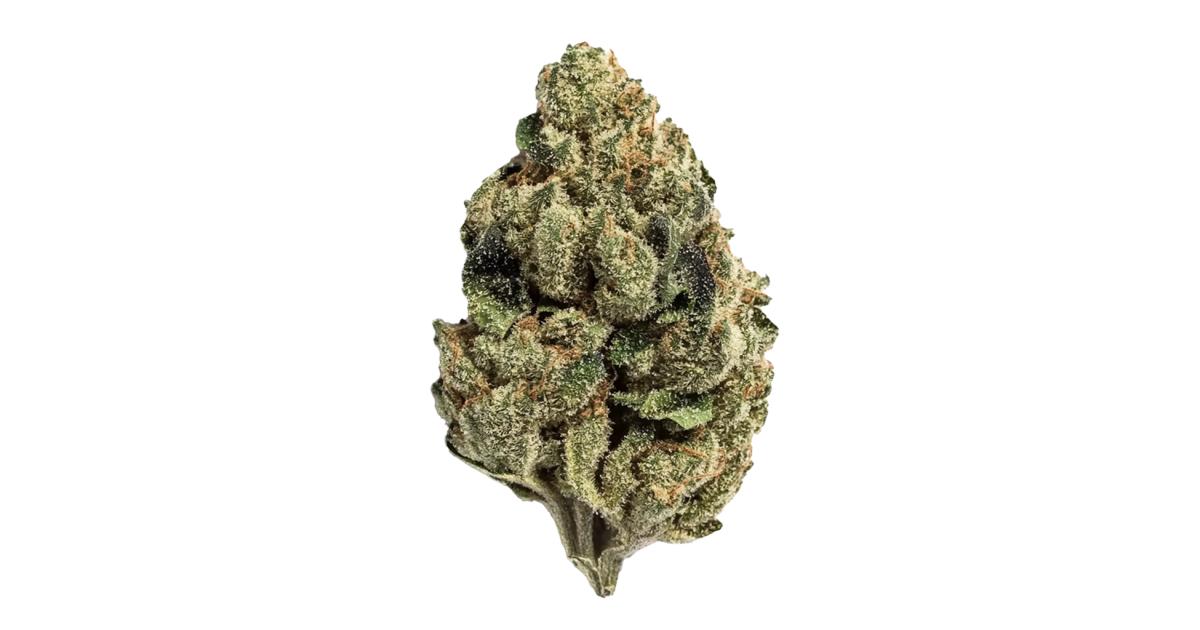 Truffle Cannabis Strain Information - GrowDiaries