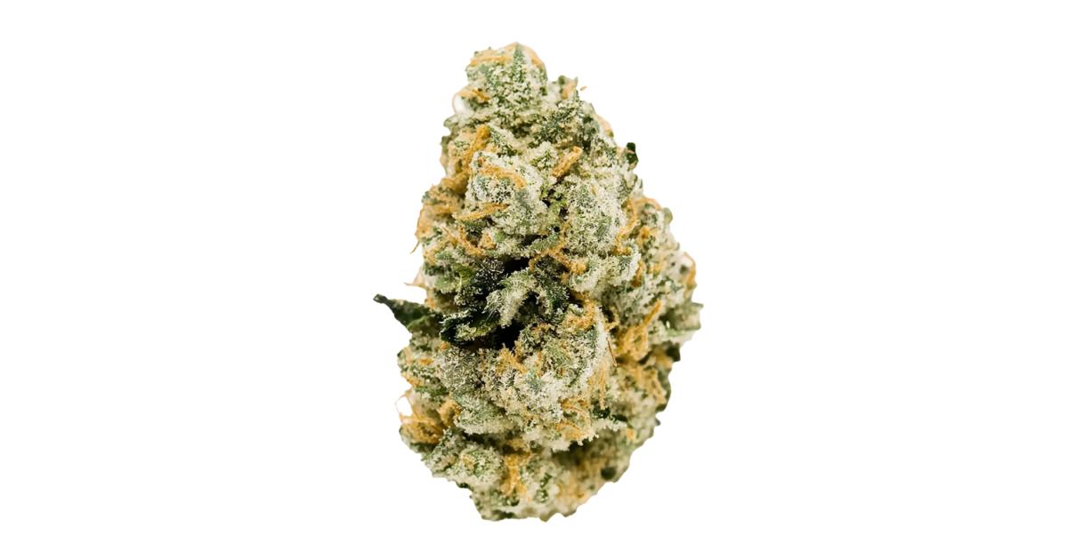 Jet Fuel Gelato Cannabis Strain Information - GrowDiaries