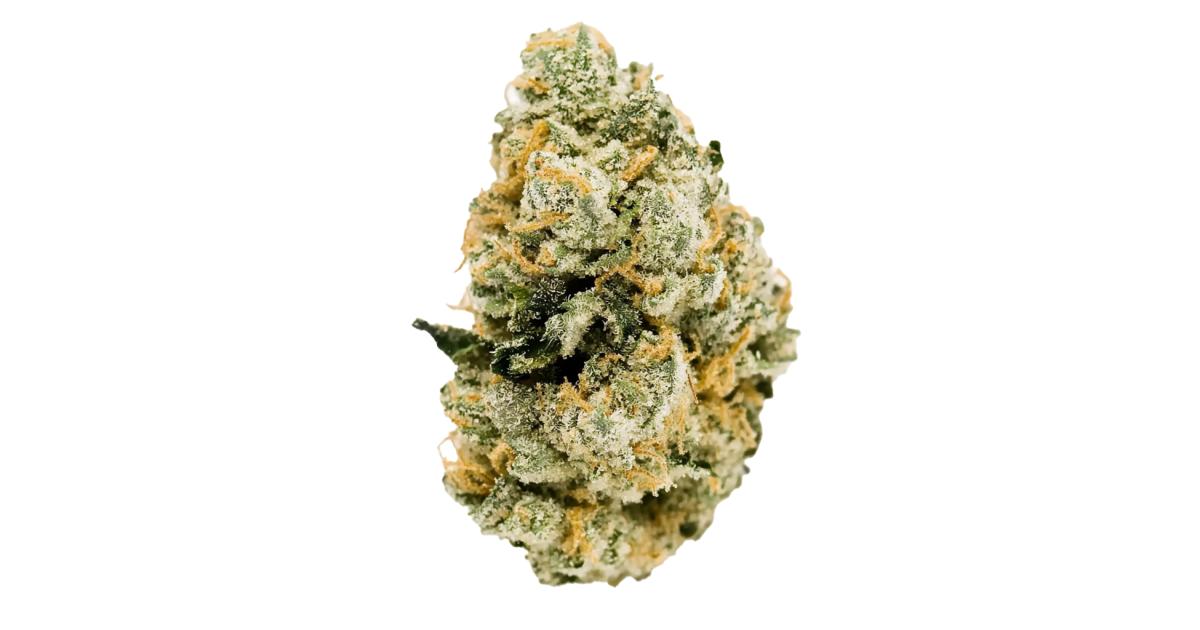 Jet Fuel Gelato Cannabis Strain Information - GrowDiaries