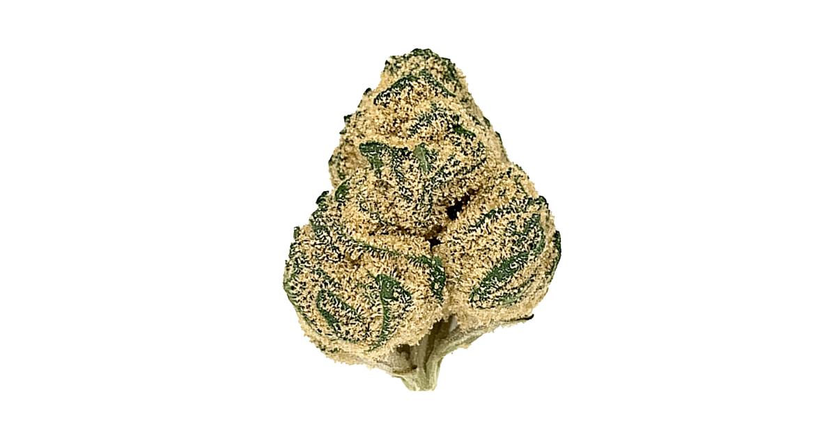 Wild Cherry Cannabis Strain Information - GrowDiaries