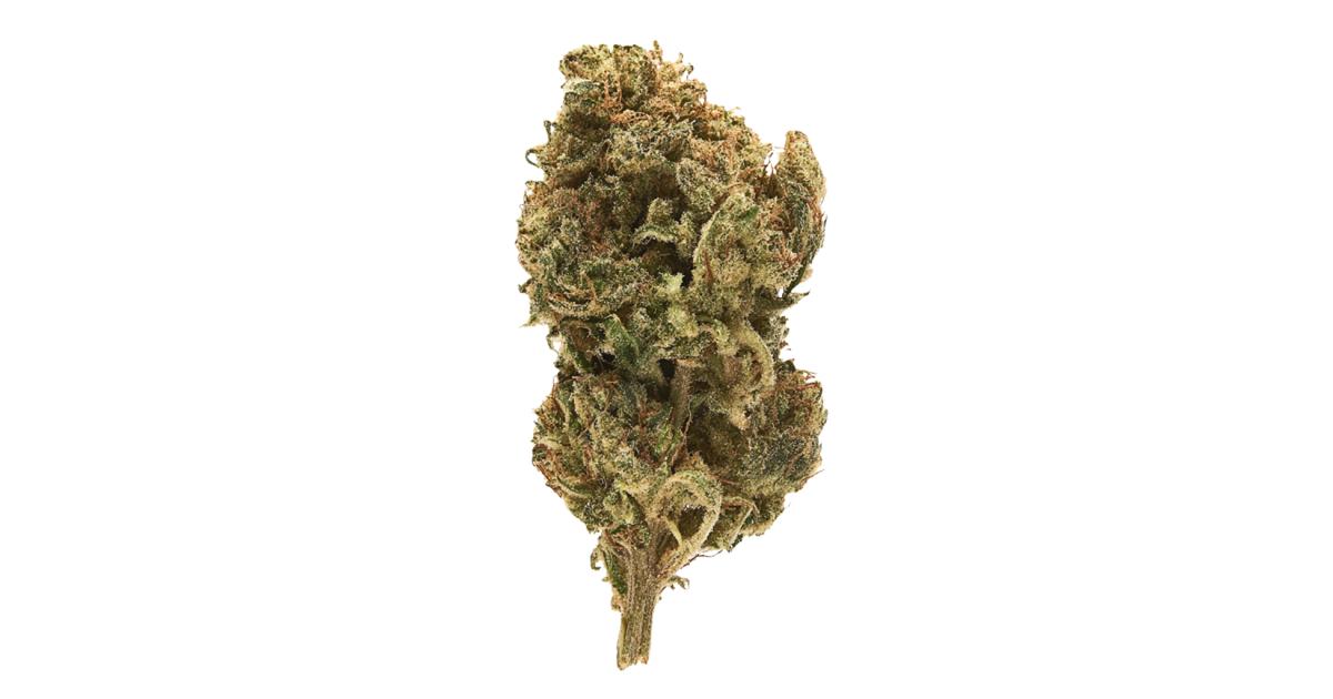 Wild Cherry Cannabis Strain Information - GrowDiaries