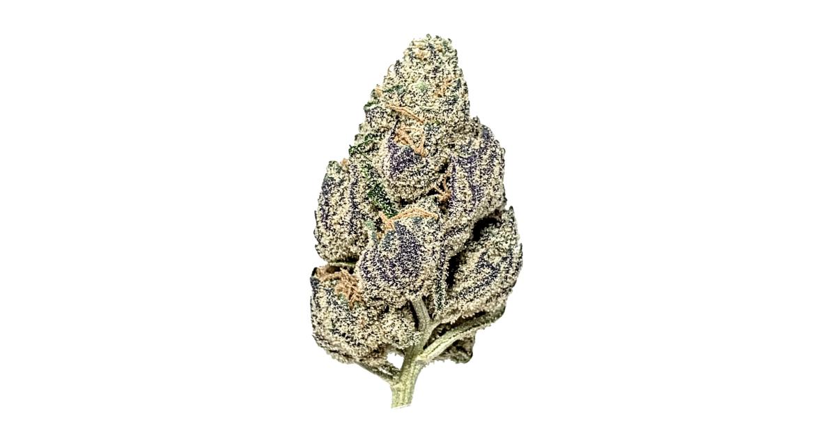 Blue Milk Cannabis Strain Information - GrowDiaries