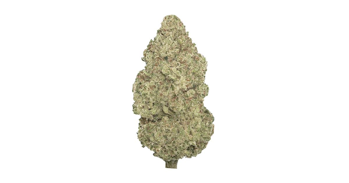 Lemon Alien Dawg Cannabis Strain Information - GrowDiaries