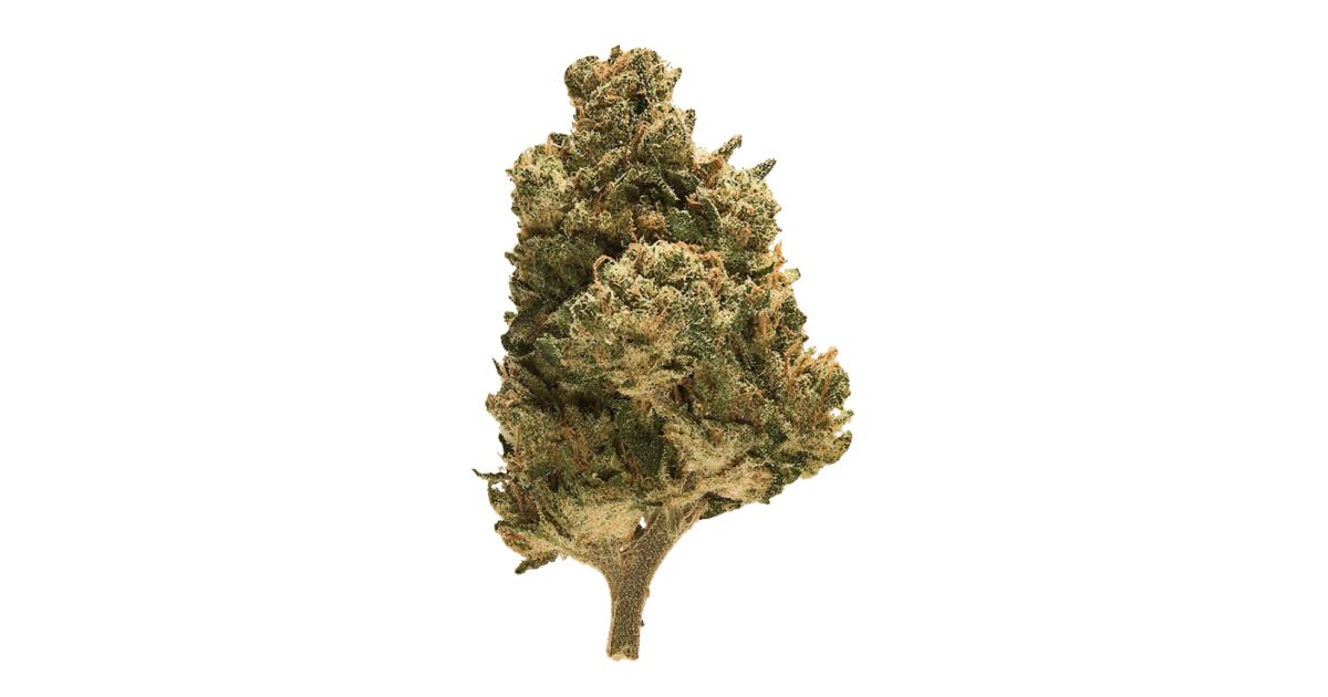 Mr. Clean Cannabis Strain Information - GrowDiaries