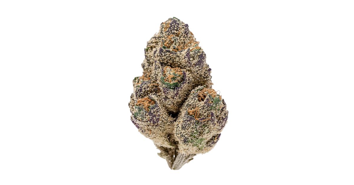 Sherbhead Cannabis Strain Information - GrowDiaries