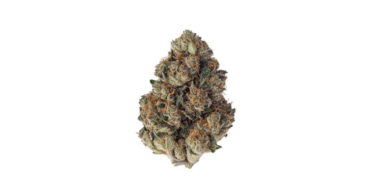 Khalifa Kush Cannabis Strain Information - GrowDiaries