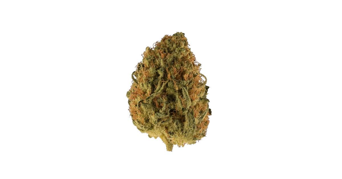 Early Lemon Berry Cannabis Strain Information - GrowDiaries