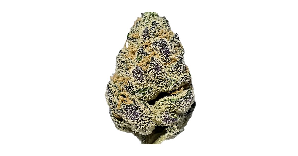 Ghost Dawg Cannabis Strain Information - GrowDiaries
