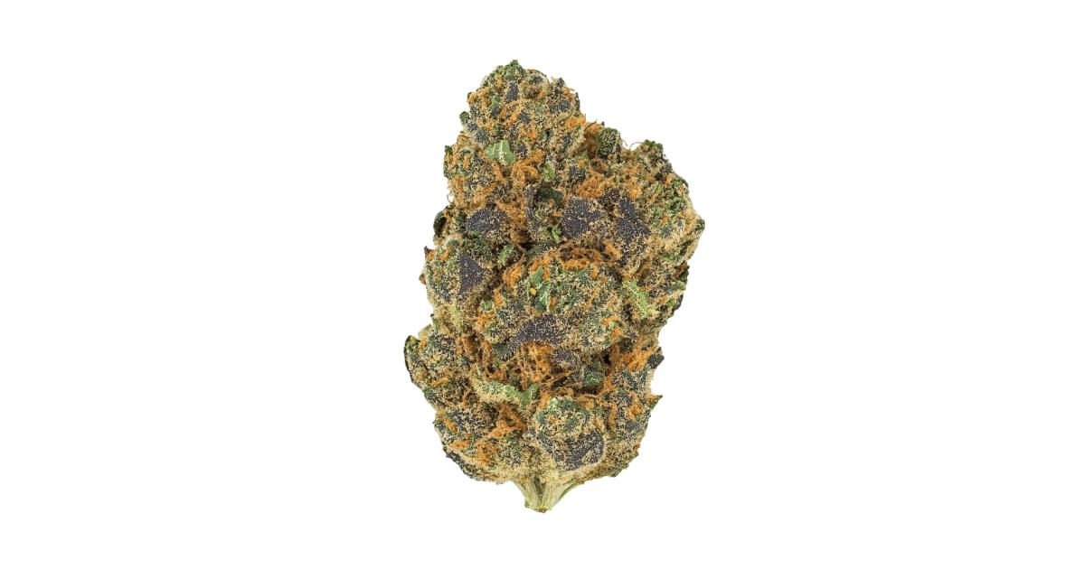 Gello Shotz Cannabis Strain Information - GrowDiaries