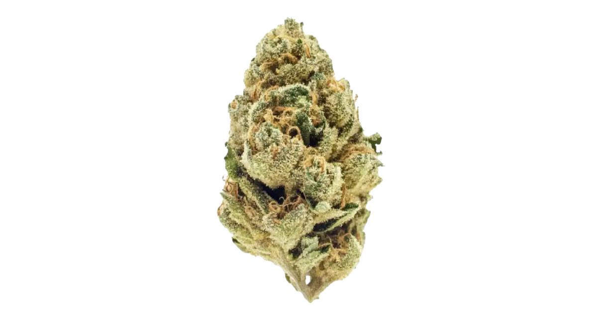 Nepalese Cannabis Strain Information - GrowDiaries