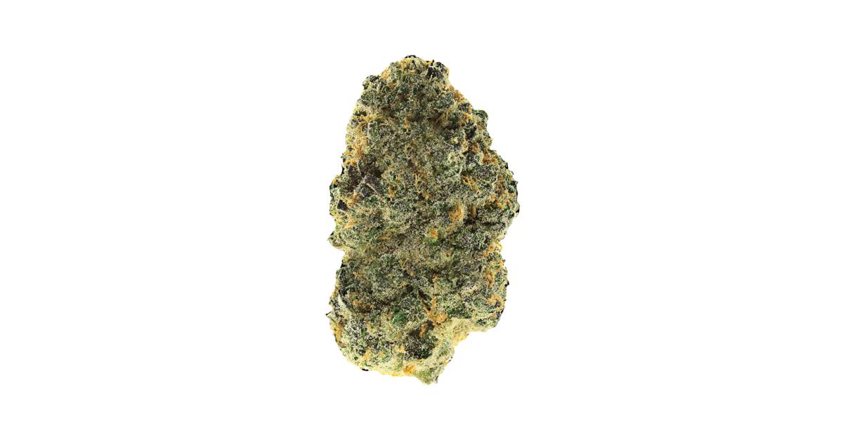 Pakistani Chitral Kush Cannabis Strain Information - GrowDiaries