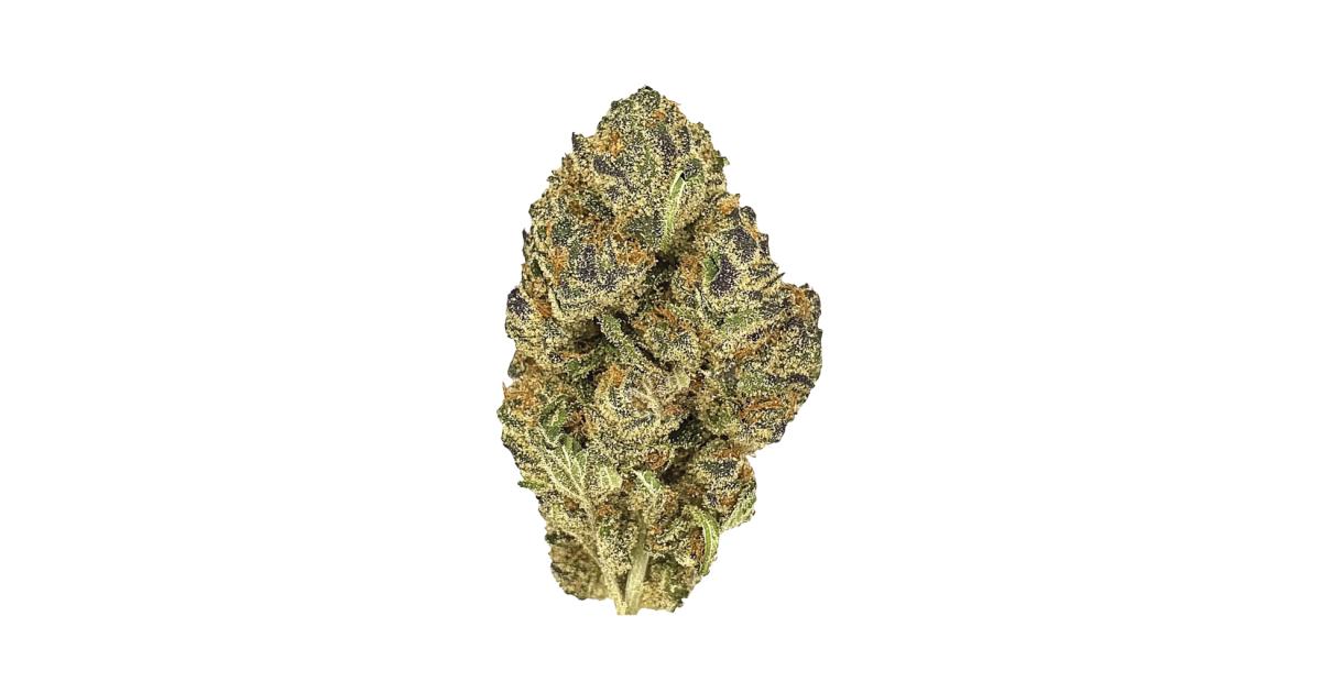 Pink Kush Cannabis Strain Information - GrowDiaries