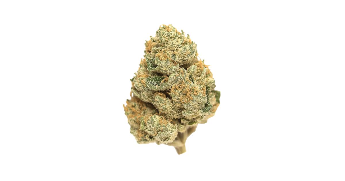 Mango Kush Cannabis Strain Information - GrowDiaries