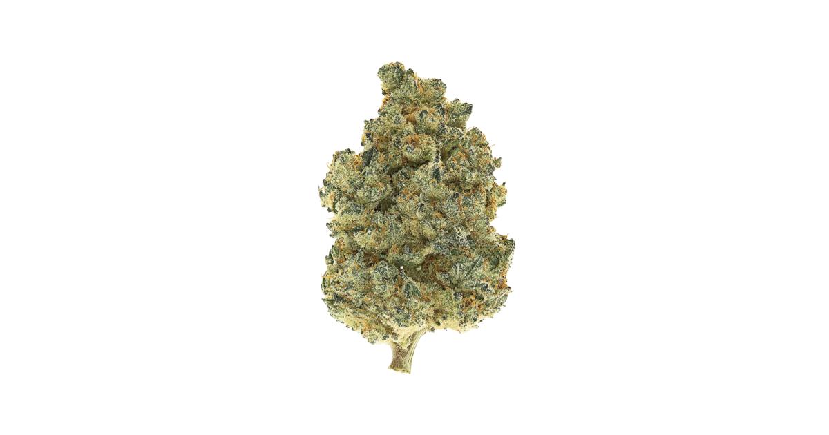 Lemon Splash Cannabis Strain Information - GrowDiaries