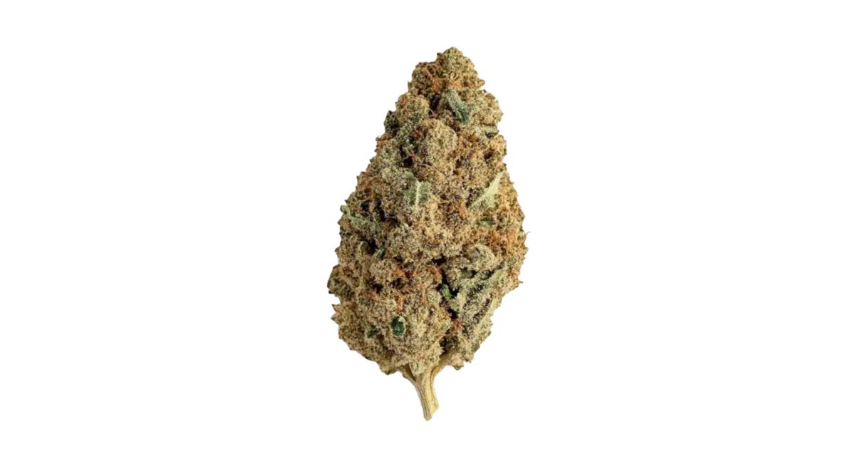 Gelato 25 Cannabis Strain Information - GrowDiaries