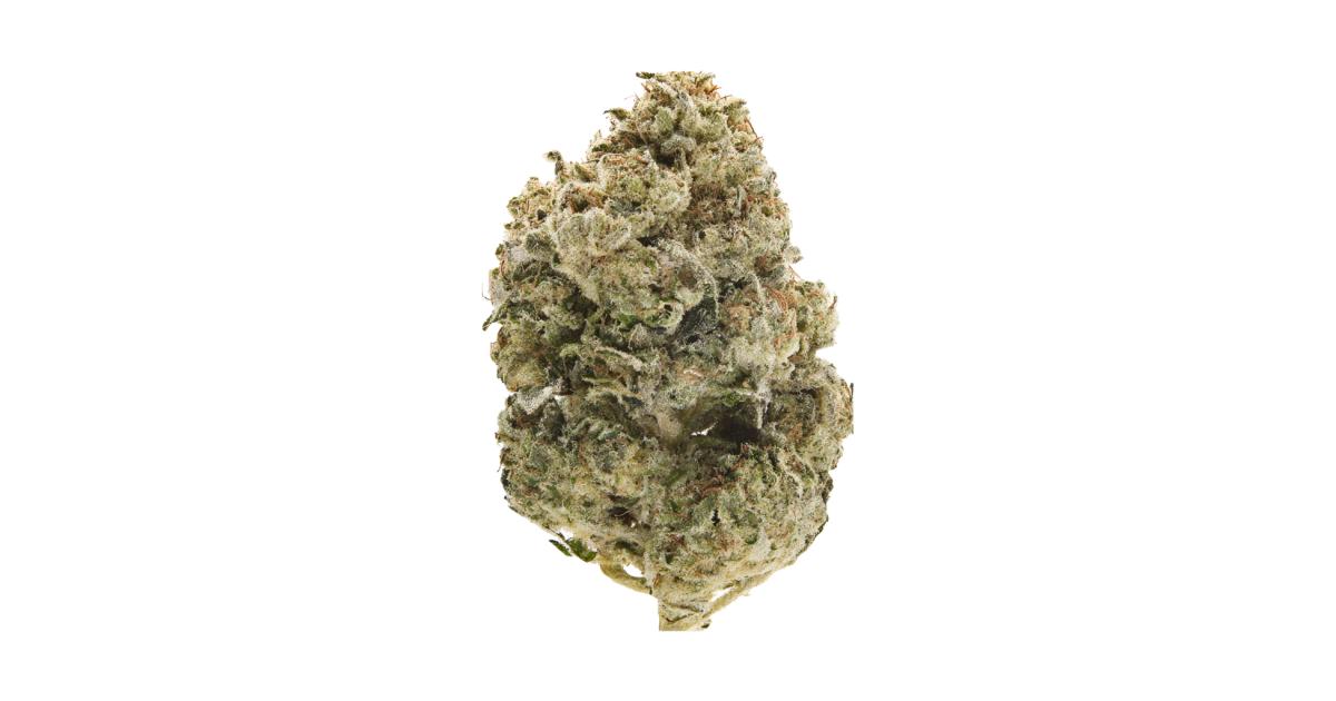 Queen Of The South Cannabis Strain Information - GrowDiar...