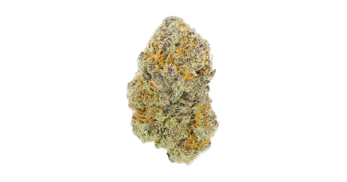 Coma Cannabis Strain Information - GrowDiaries
