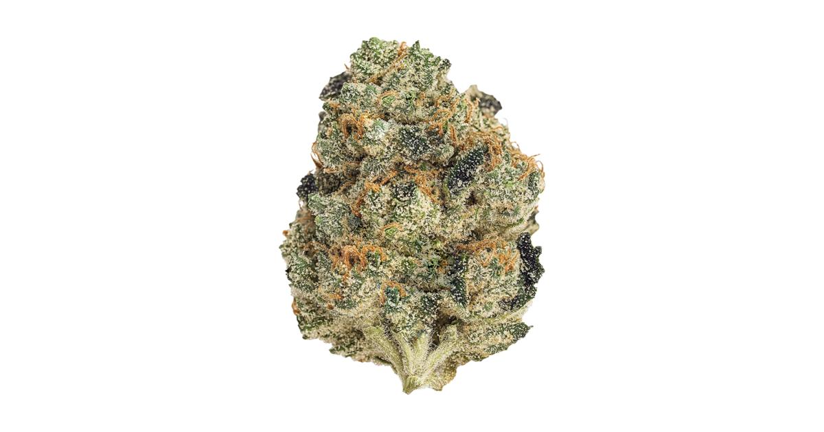 Grape Pie Cannabis Strain Information - GrowDiaries