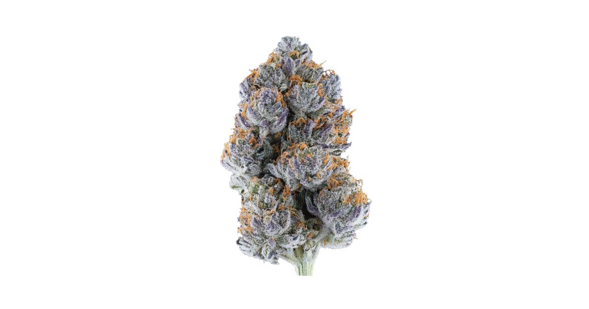 Blue Frost Cannabis Strain Information - GrowDiaries