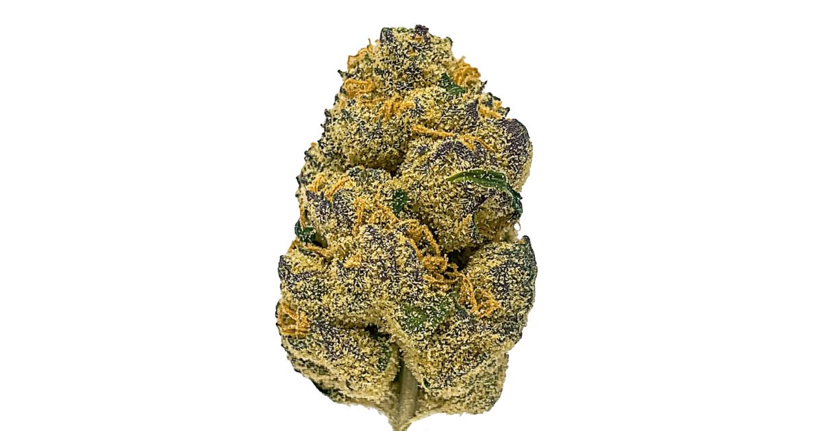 Twisted Citrus Cannabis Strain Information - GrowDiaries