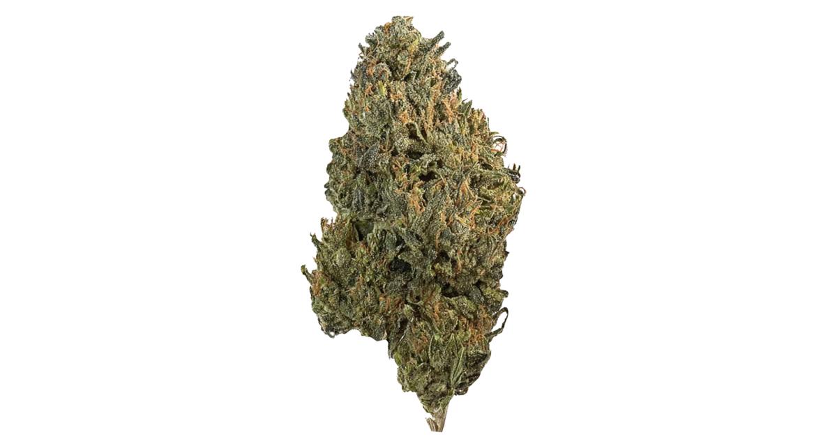 Ze Chem Cannabis Strain Information - GrowDiaries
