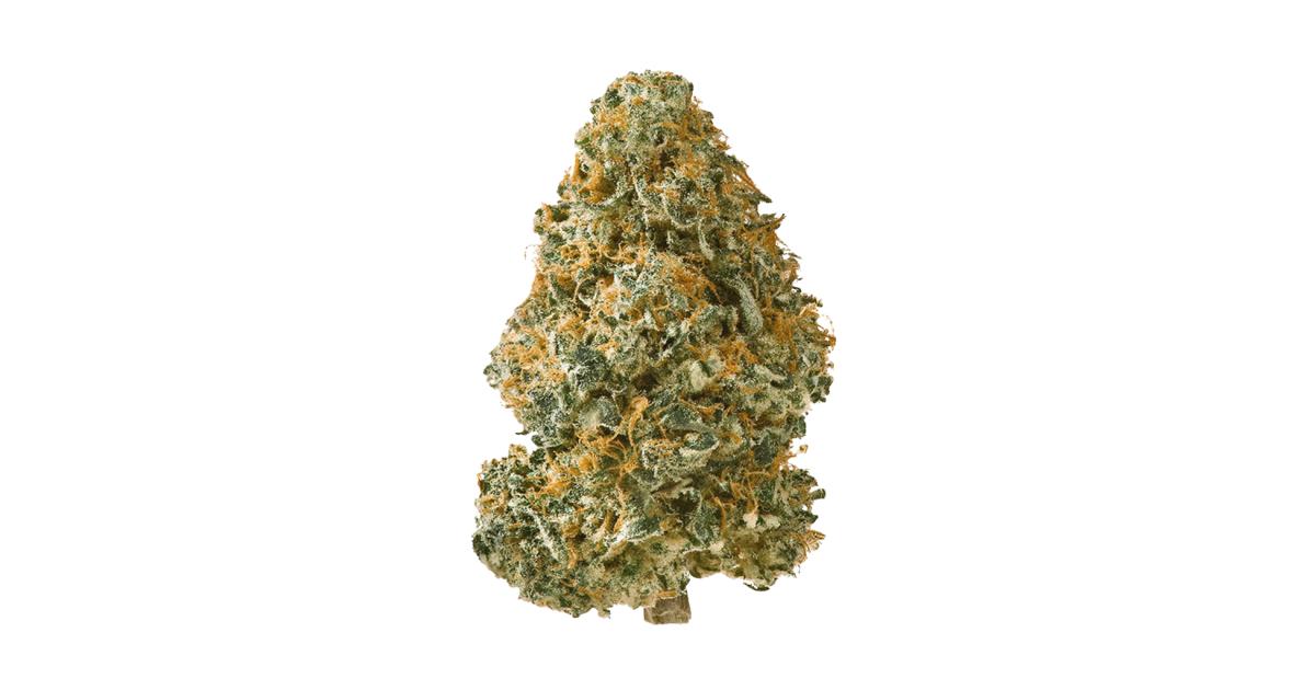 Animal Sherbert Cannabis Strain Information - GrowDiaries