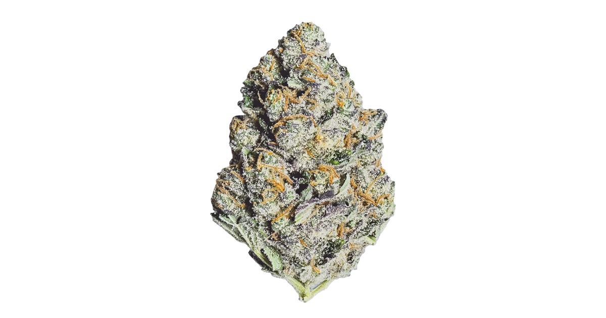 Blue Raspberry Cannabis Strain Information - GrowDiaries