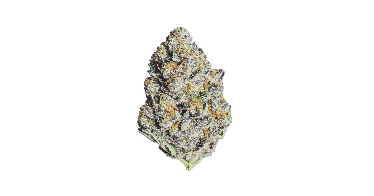 Blue Raspberry Cannabis Strain Information - GrowDiaries