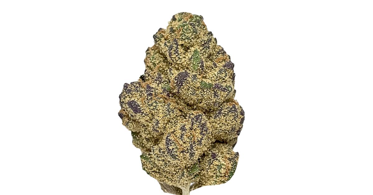 Sour Blueberry Cannabis Strain Diaries - GrowDiaries