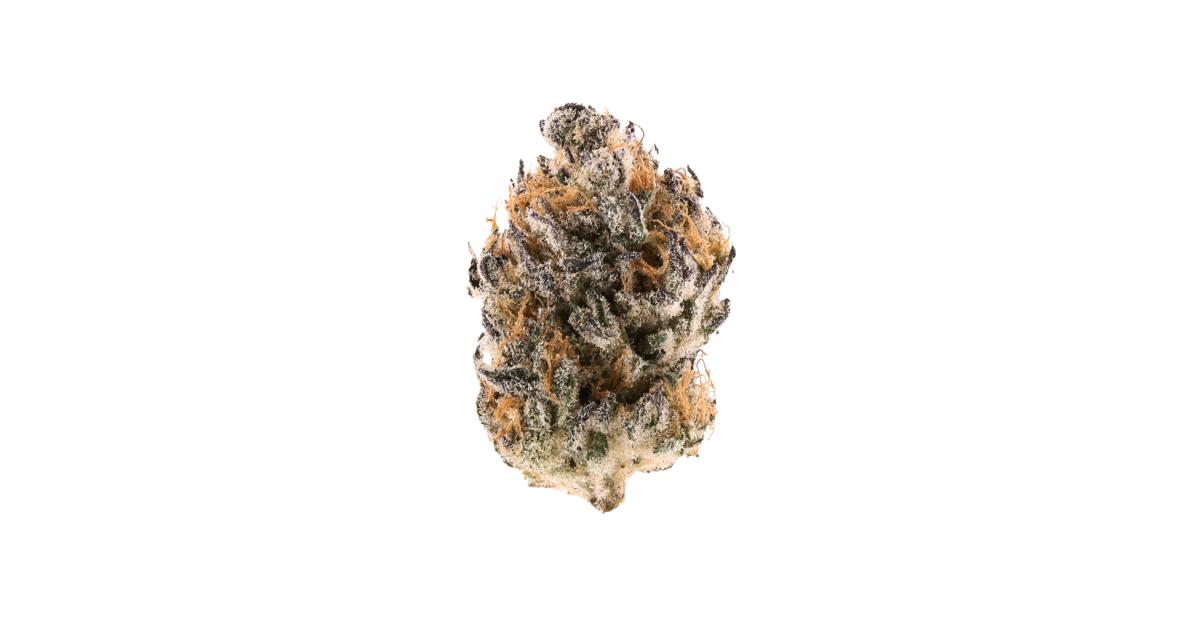 Disco Glitter Cannabis Strain Products - GrowDiaries