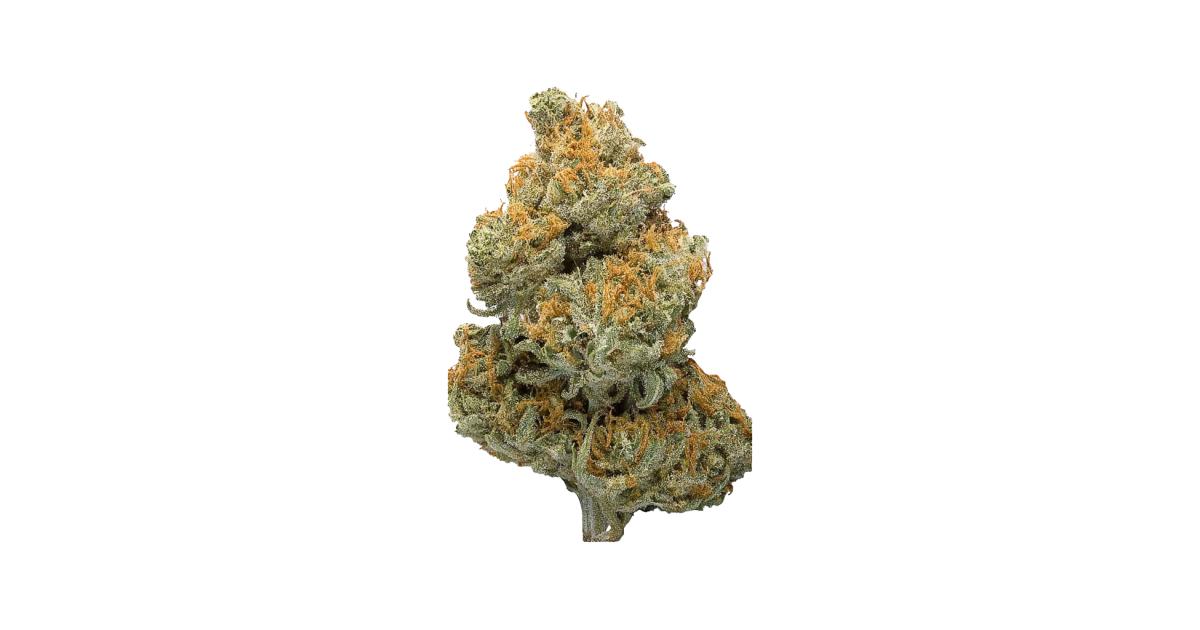 Mega Runtz Cannabis Strain Information - GrowDiaries
