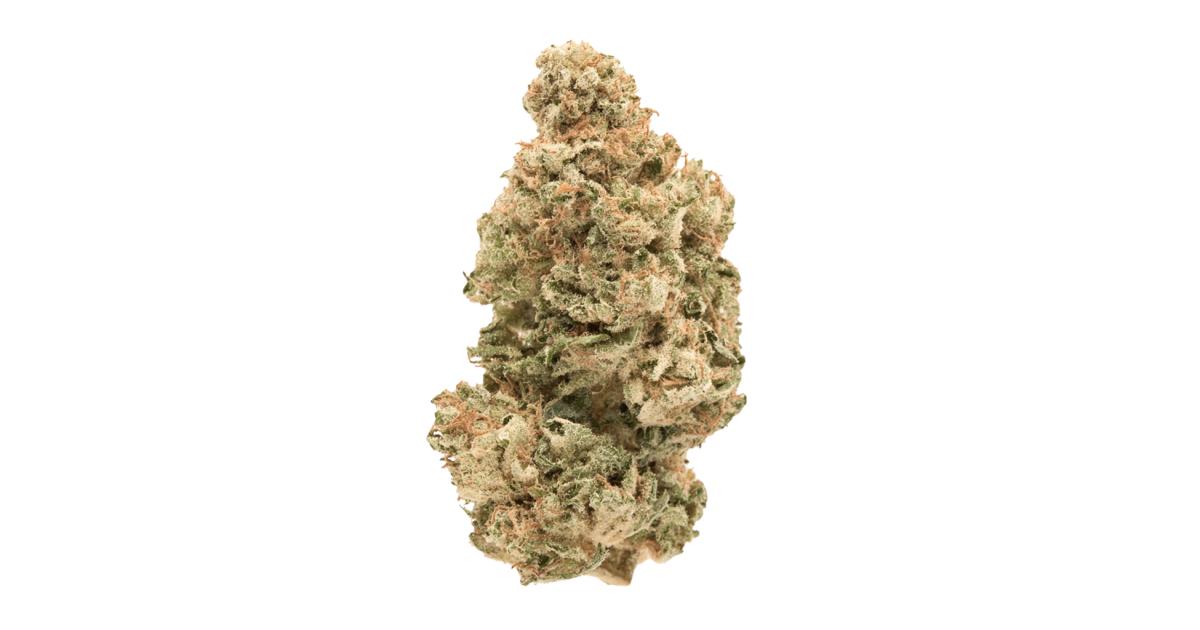 Pink Gorilla Cannabis Strain Information - GrowDiaries