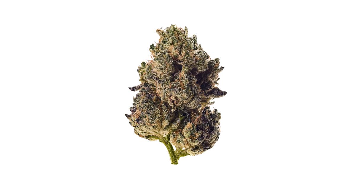 Dirty Bird Cannabis Strain Information - GrowDiaries