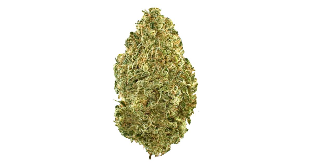 Tangerine Kush Cannabis Strain Information - GrowDiaries