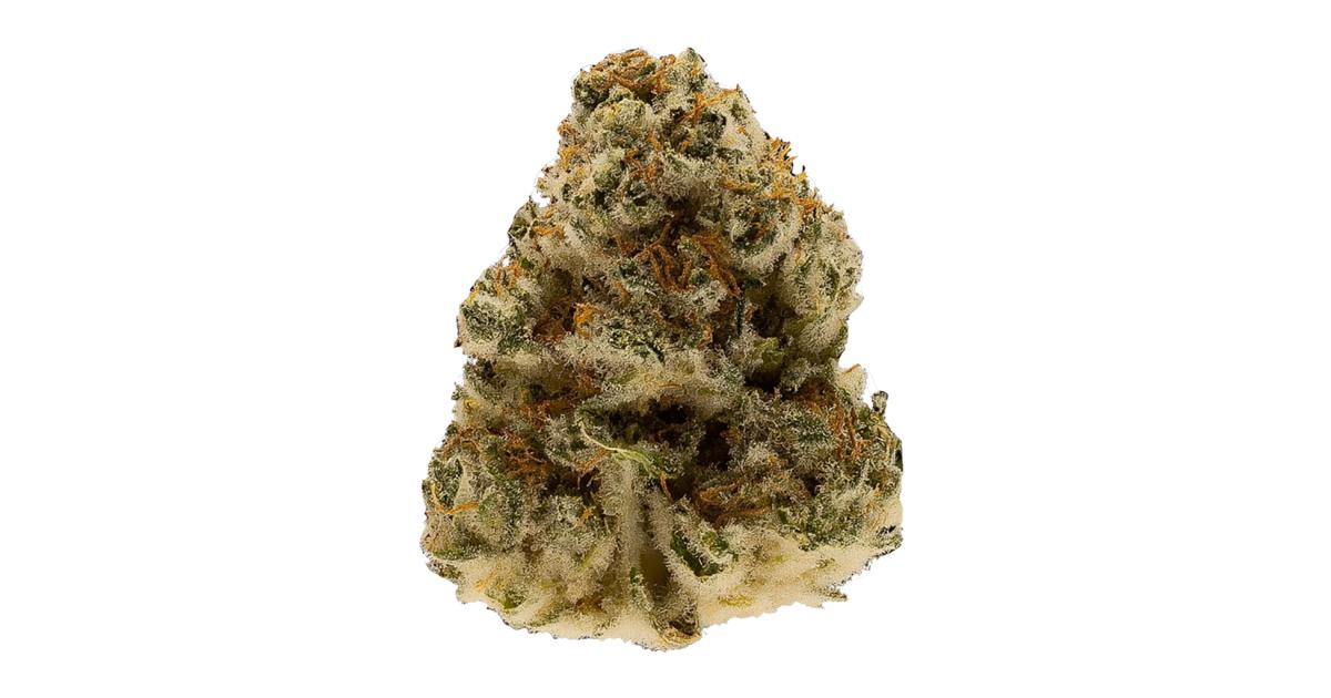 White Grape Cannabis Strain Information - GrowDiaries