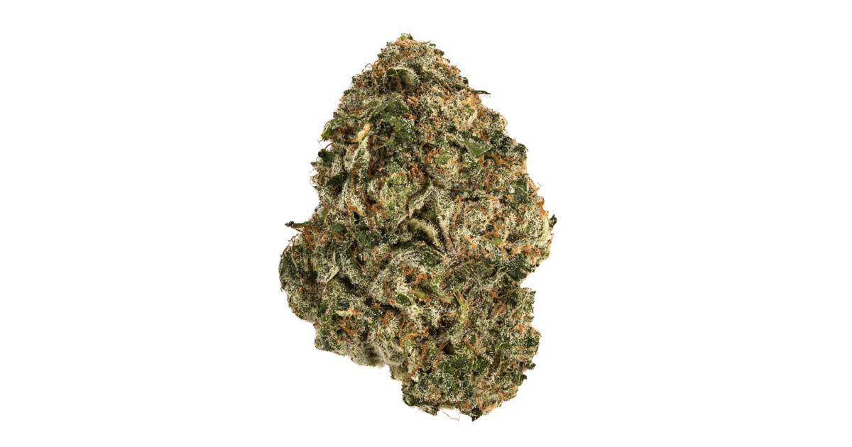 Lowryder #1 Cannabis Strain Information - GrowDiaries