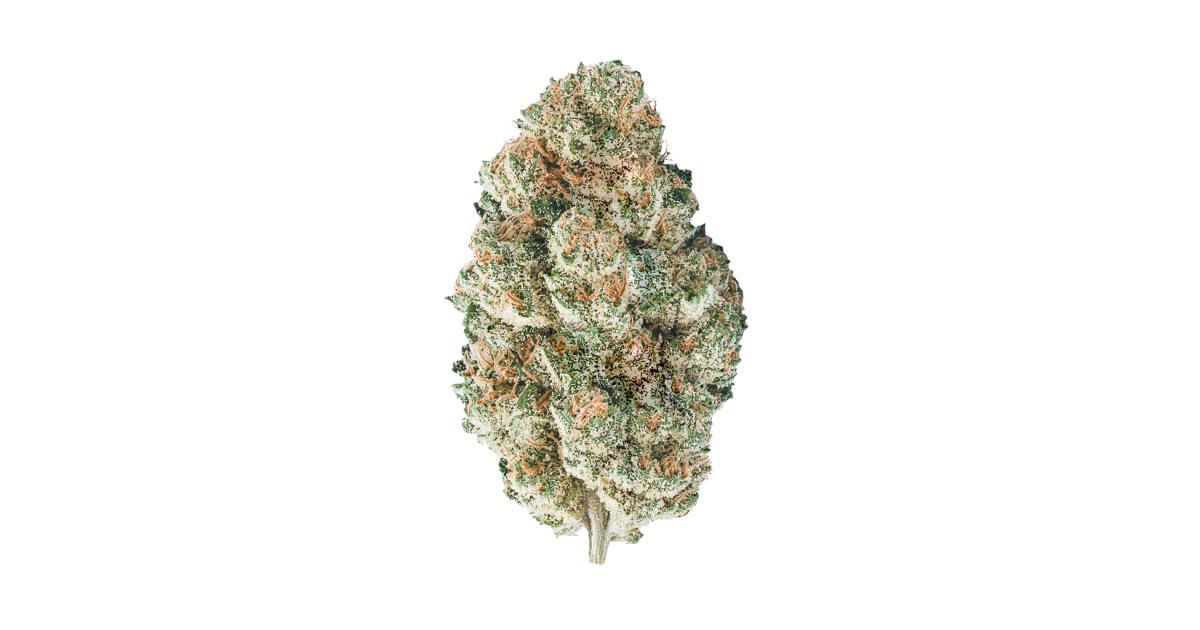 White Fire OG Cannabis Strain Information - GrowDiaries